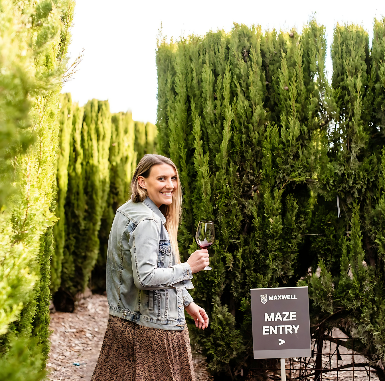 Maxwell Maze & Picnic – Maxwell Wines